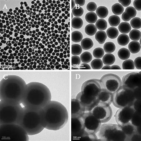 TEM Images Of A Fe O B Fe O SiO C Fe O SiO RF And D Fe O HCS Download Scientific