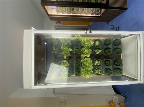 Iot โปรเจค โปรโตไทป์ Arduino3dปริ้น