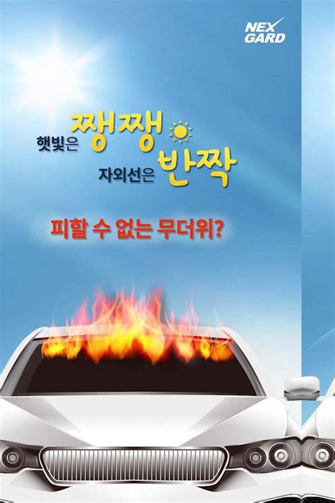 넥스가드 열 자외선차단이 필요할땐 토탈케어플러스 세상에 이 무더위 어떡하나요☀️ 당연히 넥스가드 토탈케어플러스 로 해결해야죠 햇빛이쨍쨍해도 자외선이
