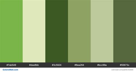 Composition Html Css Design Hex Colors Colorswall