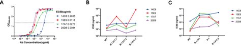 Receptor Binding Domain RBD Binding Activity And Neutralizing