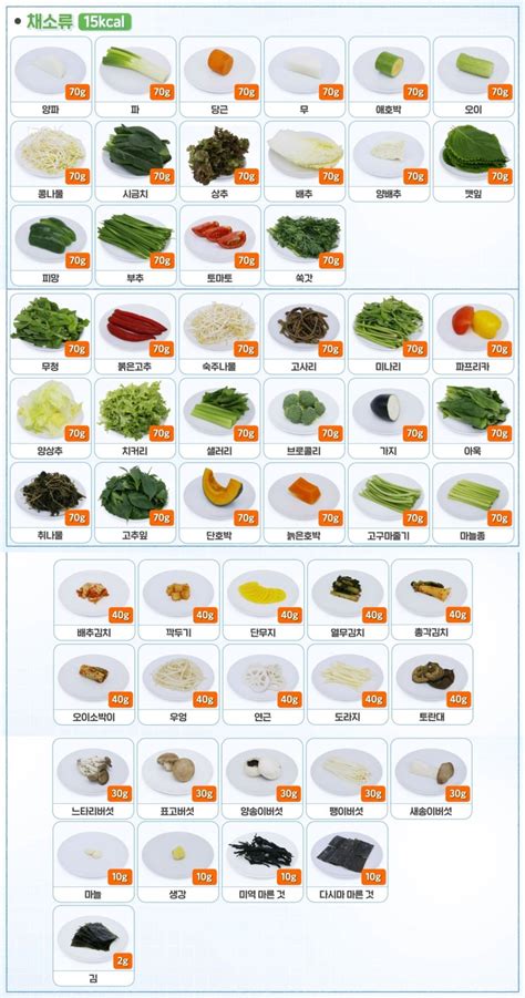 식품구성자전거를 활용한 균형잡힌 식사하기 네이버 블로그