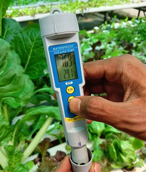 Ph Meter For Jam Making At Bobby Mosca Blog