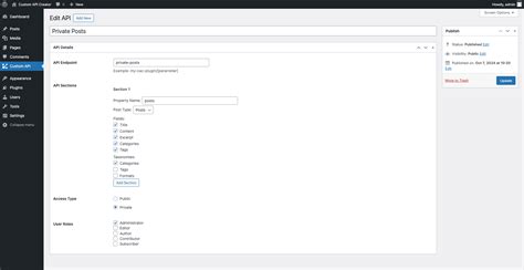 Custom Api Creator Wordpress Plugin