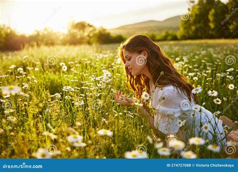Portrait Of A Beautiful Girl In A Light Summer Dress Sitting In A Chamomile Field And Admiring