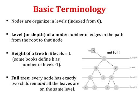 Binary Search Treebst