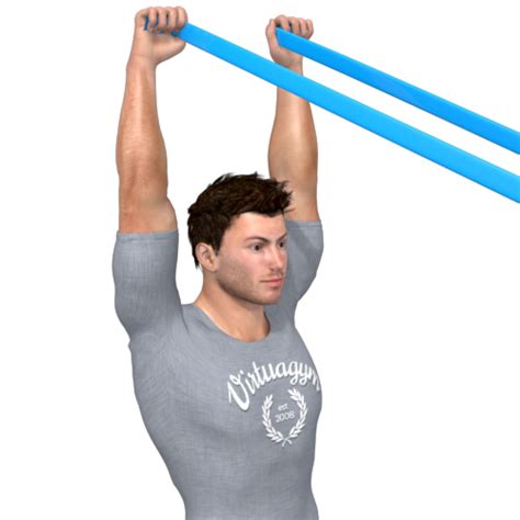 Elastics Horizontal Row Exorotation Shoulder Press Video Exercise Guide