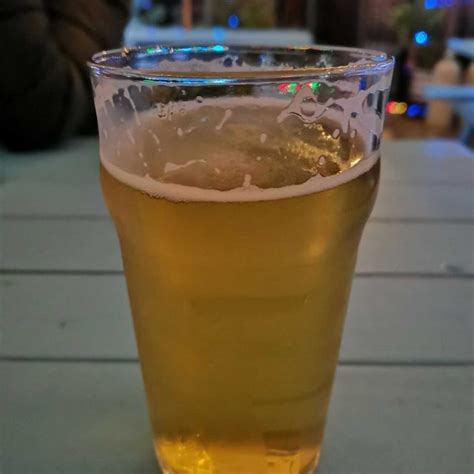 Stingrays Draught Bodriggy Brewing Co Untappd