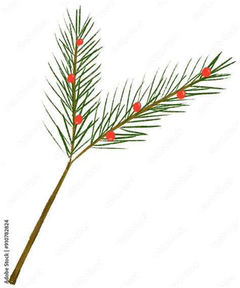 빨간 열매가 달린 침엽수 나무 가지 Stock Illustration Adobe Stock