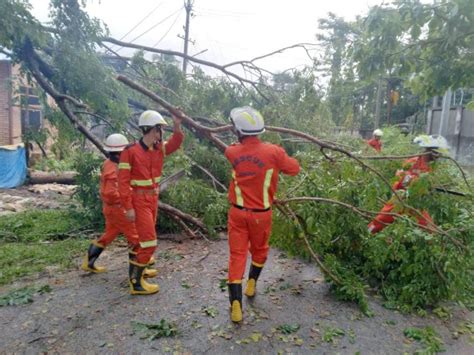 ဘီးလင်းမြို့နယ်တွင် လေပြင်းတိုက်ခတ်မှုကြောင့် ကျွန်းပင်လဲကျရာ စျေးဆိုင