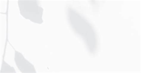 실내 가벼운 고요한 관념적인 교활한 구성 그림자 놀이 뉴트럴 톤 단순한 디자인 미니멀리스트 미니멀리즘