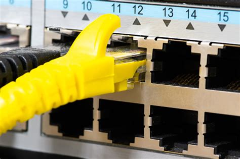 Lan 스위치와 케이블 Rj45 노란 색입니다 네트워크 연결 플러그에 대한 스톡 사진 및 기타 이미지 네트워크 연결 플러그 전자 산업 0명 Istock
