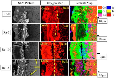 Cross Sectional Micrographs Of Alloys After 20 H Of Oxidation At 1200°c Download Scientific