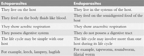 Distinguish Between Ectoparasites And Endoparasites Give Examples For Bo