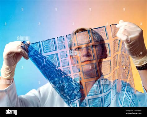 Intelligent Label Chip Manufacture Technician Holding A Sheet Of Radio Frequency Identification