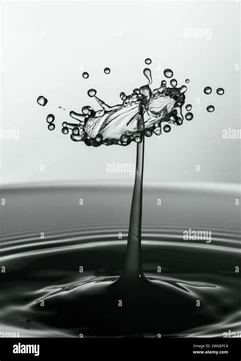 High Key Black And White Splash Art Water Collision Macro Photography
