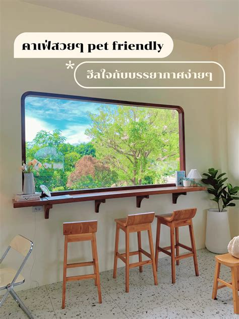 มาเที่ยวคาเฟ่นนทบุรี ปทุมธานีกัน แกลเลอรีที่โพสต์โดย Punniewoody Lemon8