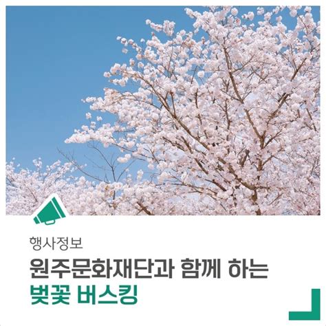 원주문화재단과 함께하는 봄 소풍 벚꽃 버스킹에 초대합니다 강원도 원주시 웰로