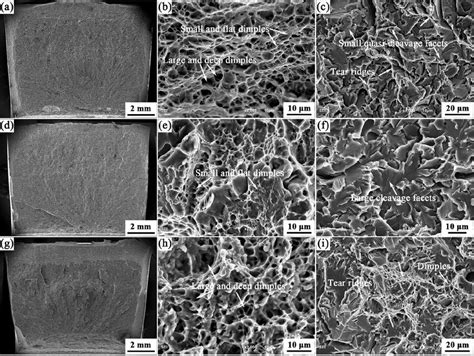 Sem Morphologies Showing Impact Fracture Surface Of The Simulated Cghaz