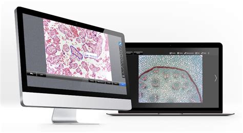 Wifi Microscope Camera Moticam X5 Wi Fi And Ethernet Mms Microscopes