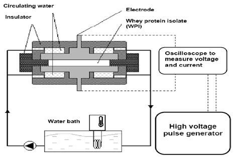 Experimental Set Up Used For The Pef Treatment Of Whey Protein Isolate Download Scientific Diagram