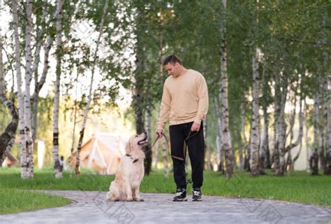 主人和伯纳森南猎人的狗在公园里散步图片 包图网企业站