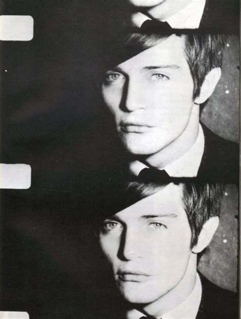 Gino Piserchio Alchetron The Free Social Encyclopedia