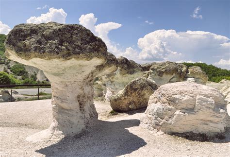 Каменните гъби Travel Notes