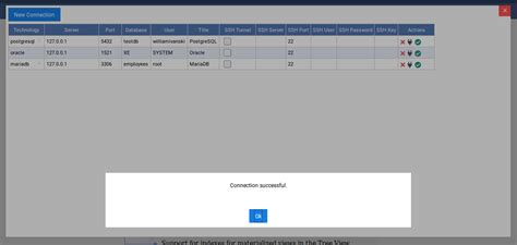 3 Creating Users And Connections — Omnidb 2150 Documentation