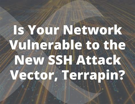 Ssh Vulnerabilities And Terrapin Quantumxc