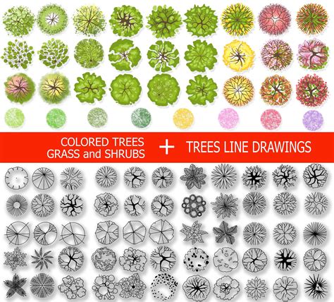 Landscape Tree Plan View Tree Stamps Landscape Tree Symbols Landscape Design Templates