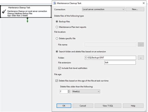 Sql Server Maintenance Plan Cleanup Task Microsoft Qanda