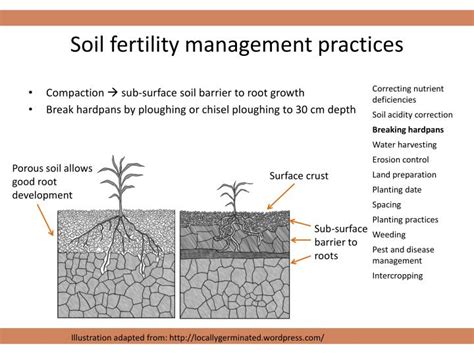 PPT Soil Soil Fertility PowerPoint Presentation ID