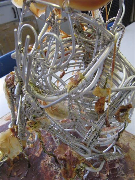 Drawing With Wire Drawings Development Wire