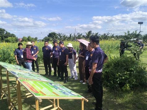 รายงานความก้าวหน้าโครงการเขตภาคเหนือตอนล่าง โครงการพัฒนาพื้นที่มูลนิธิชัยพัฒนา ตำบลหนองหม้อ