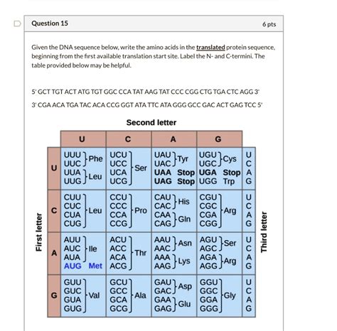 Solved Question 15 6 Pts Given The Dna Sequence Below Write The Amino