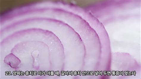 양파의 놀라운 효능 Youtube