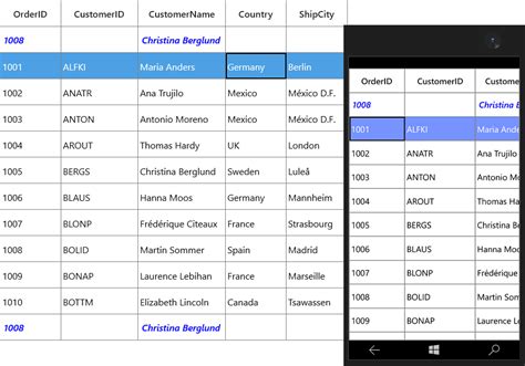Styles And Templates In Wpf Datagrid Control Syncfusion