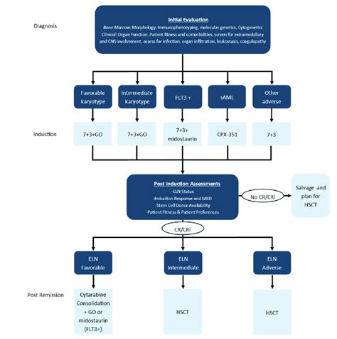 Overview Of Frontline Intensive Treatment Of Aml Download Scientific