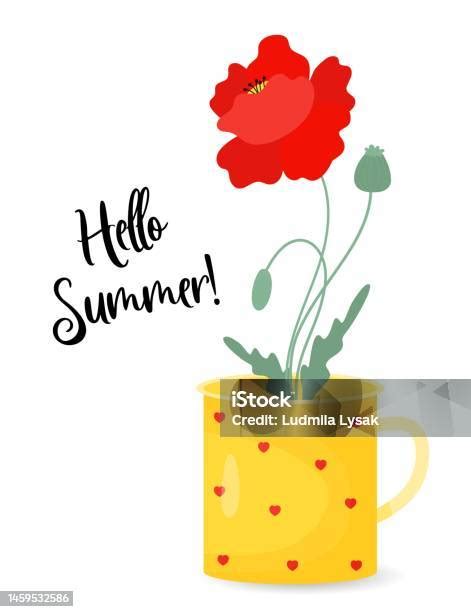 컵에 빨간 양귀비 꽃입니다 포스터 안녕하세요 여름 엽서 디자인 장식 표지 및 인쇄를 위한 평면 스타일의 벡터 그림 0명에 대한 스톡 벡터 아트 및 기타 이미지 Istock