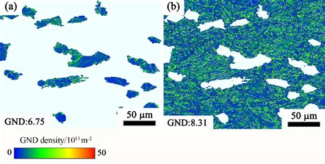 Figure 17 From Constitutive Model And Microstructure Evolution Of Ti65 Titanium Alloy Semantic