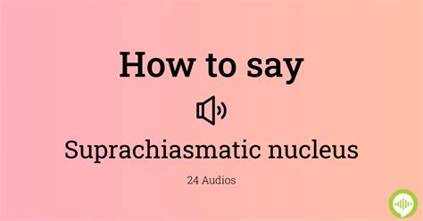 How To Pronounce Suprachiasmatic Nucleus