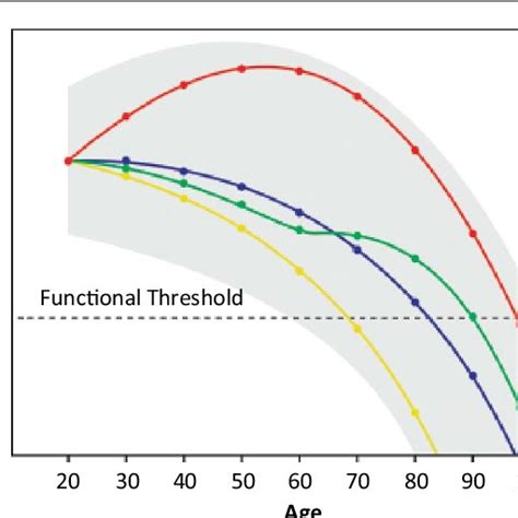 Schematic Representation Of The Possible Trajectories Of The Evolution