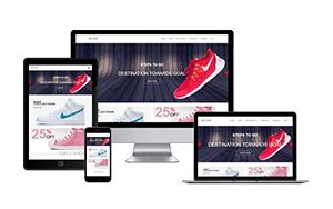 ECommerce Web Design Development Company Afluex