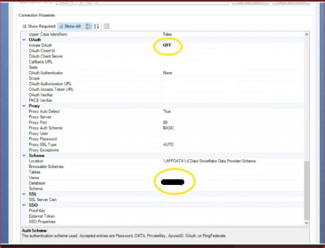 Snowflake Privatekey Private Key Password Odbc Cdata