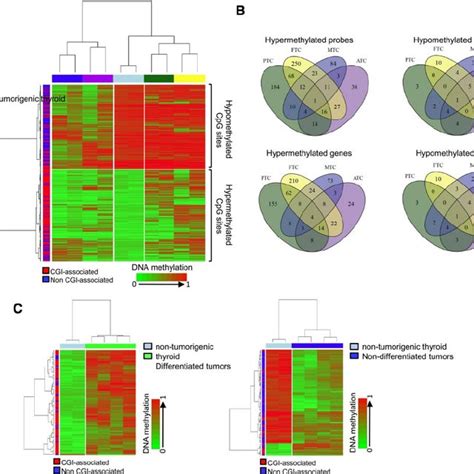 Hierarchical Clustering Heatmap Showing The Dna Methylation Patterns Of