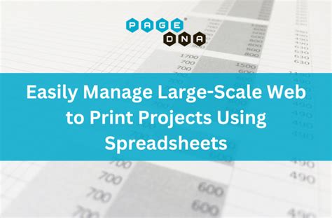 Managing Large Scale Web To Print Projects Using Spreadsheets