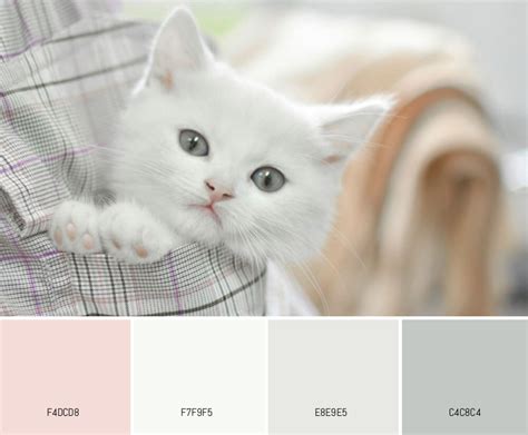 Adorable Pastel Color Palettes