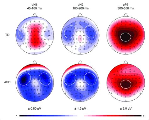 Scalp Potential Maps Of The Group Averaged Visual Corrected Auditory Download Scientific