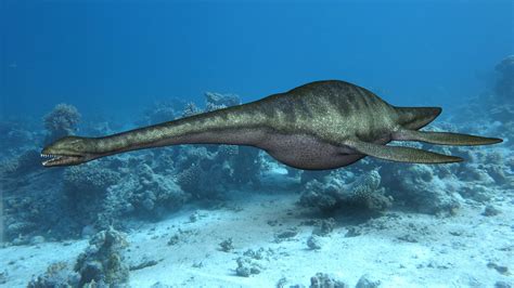 3d Model Elasmosaurus Dinosaur